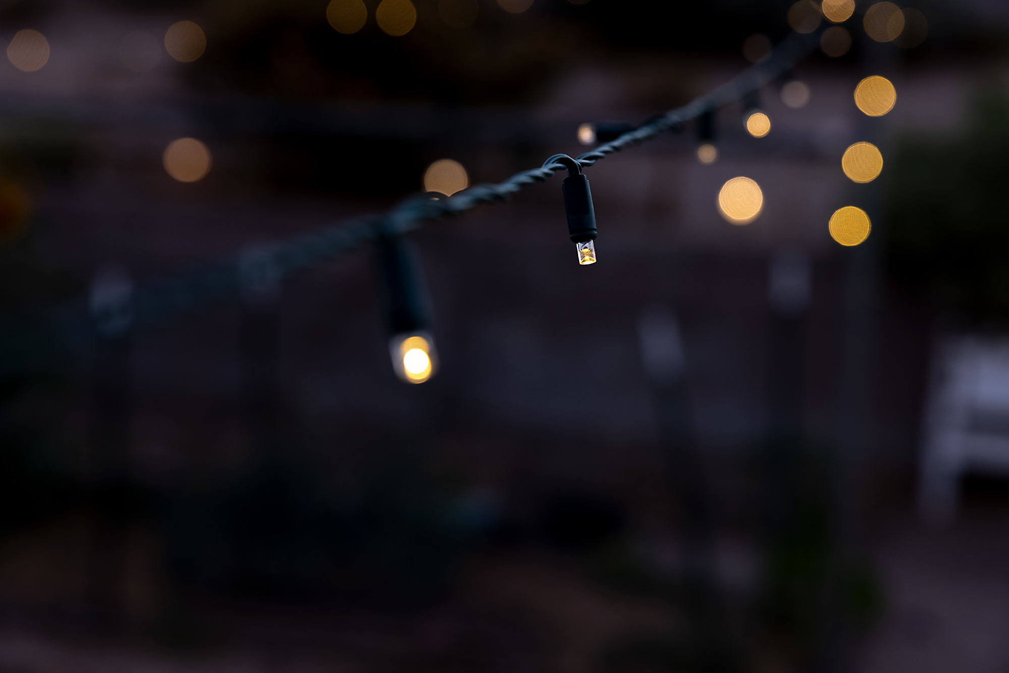 LED Low Voltage Christmas Lights not just for Christmas – Total LED ...
