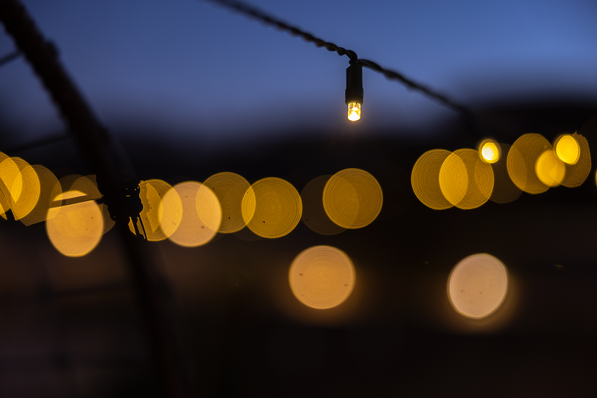 LED Low Voltage Christmas Lights not just for Christmas – Total LED ...